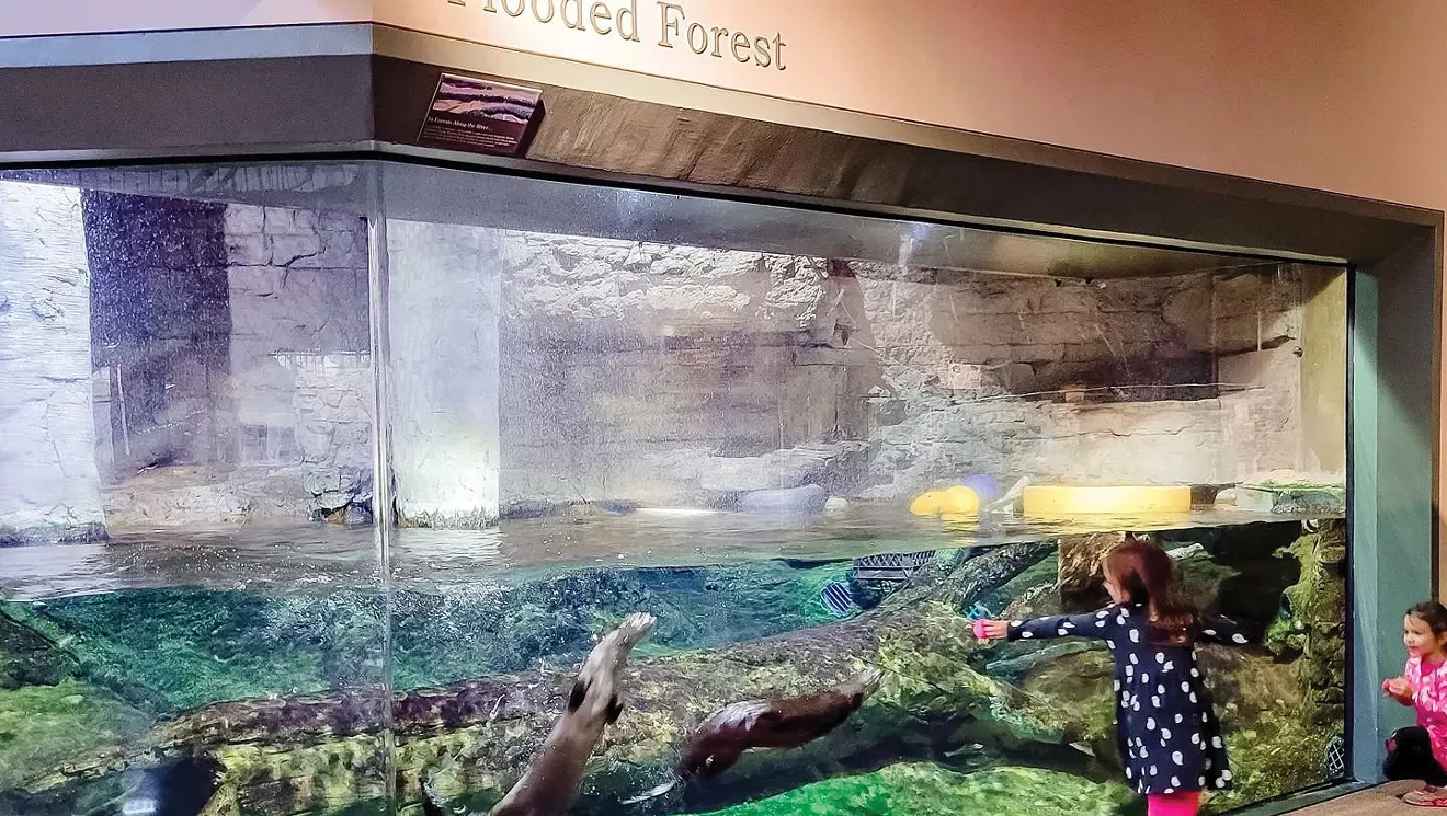 Dubuque, a must-see can't-miss destination | ReGen | Illinois Times